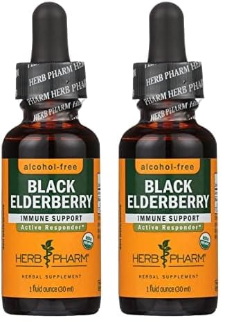 organic elderberry syrup for immunity
