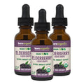 organic elderberry syrup for immunity