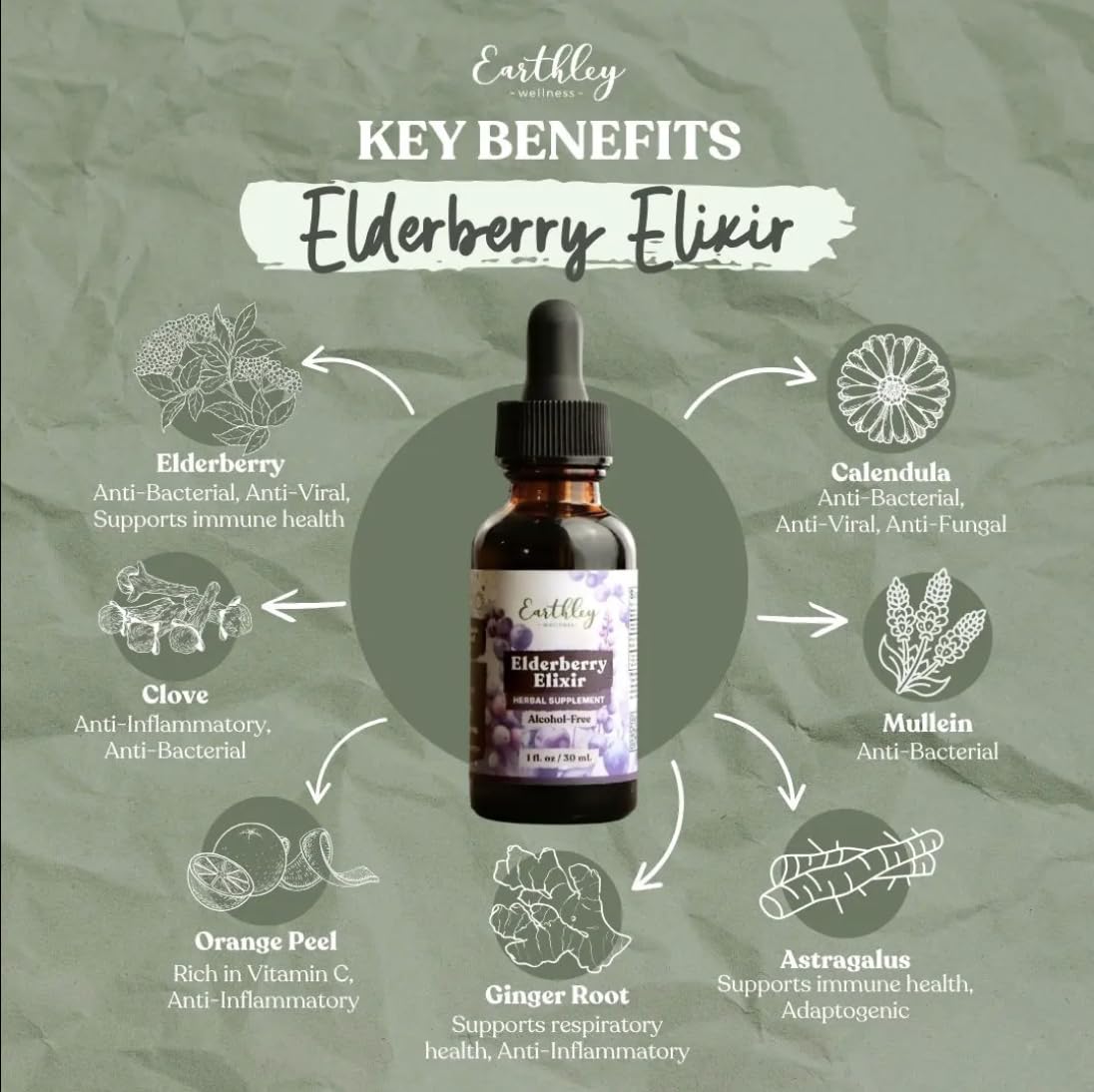organic elderberry syrup for kids