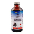 organic elderberry syrup for kids