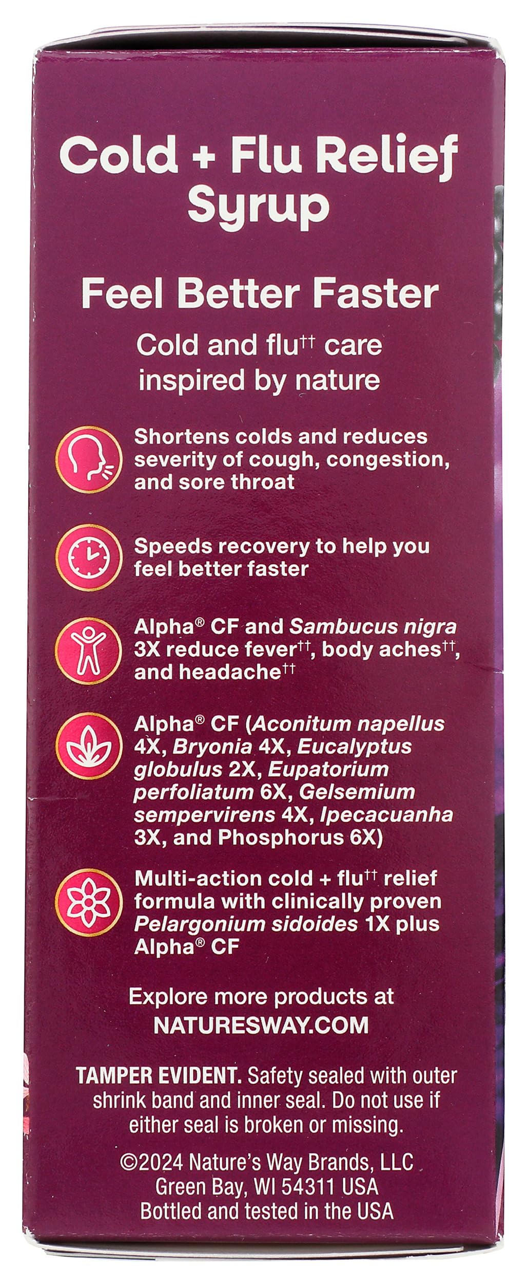 organic elderberry syrup for kids