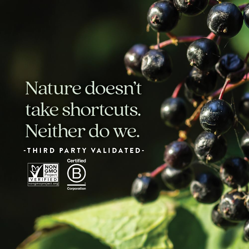 organic elderberry syrup for seasonal support