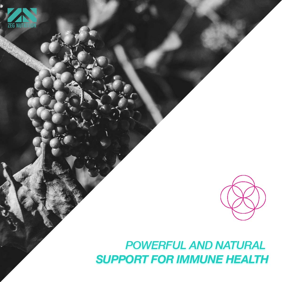 Organic elderberry syrup for vitality