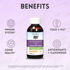 organic elderberry syrup for wellness