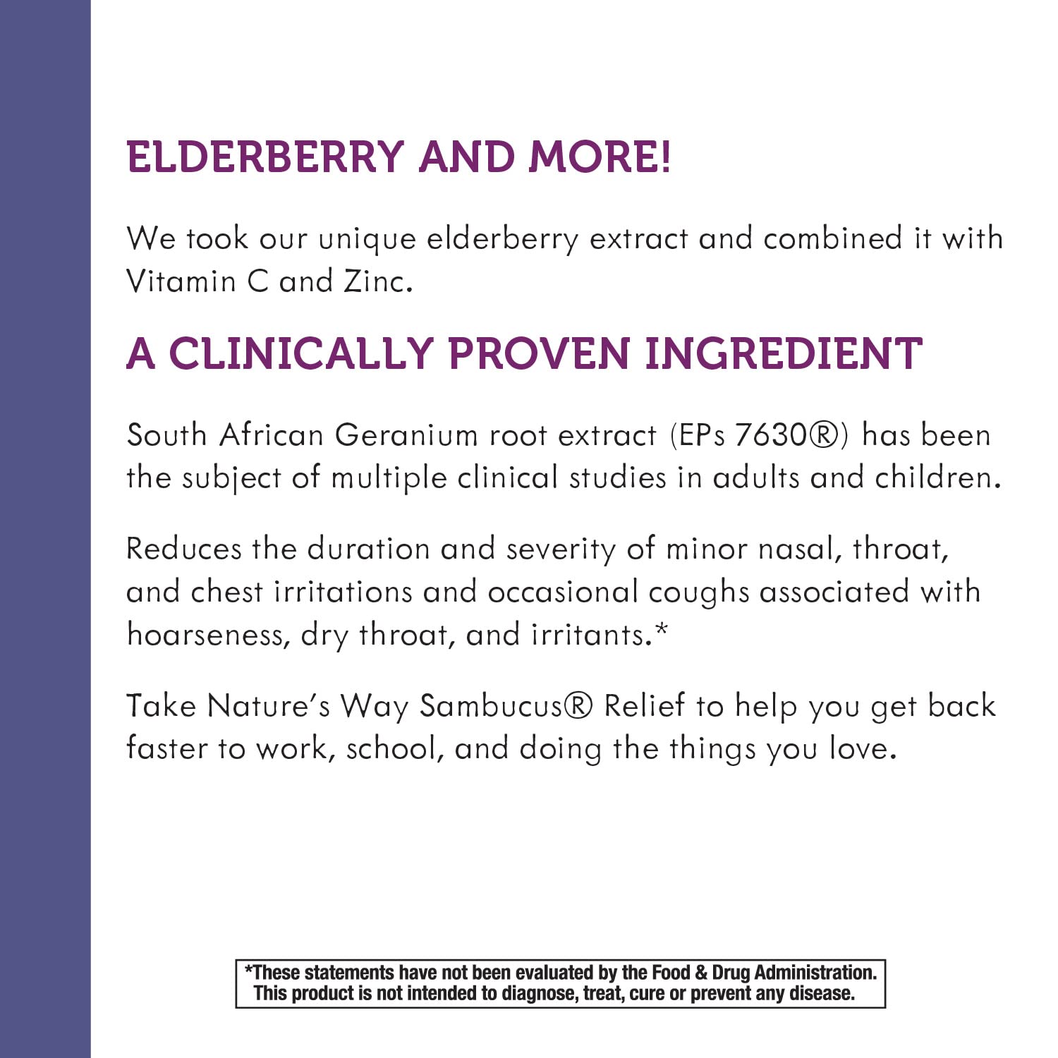 organic elderberry syrup for wellness