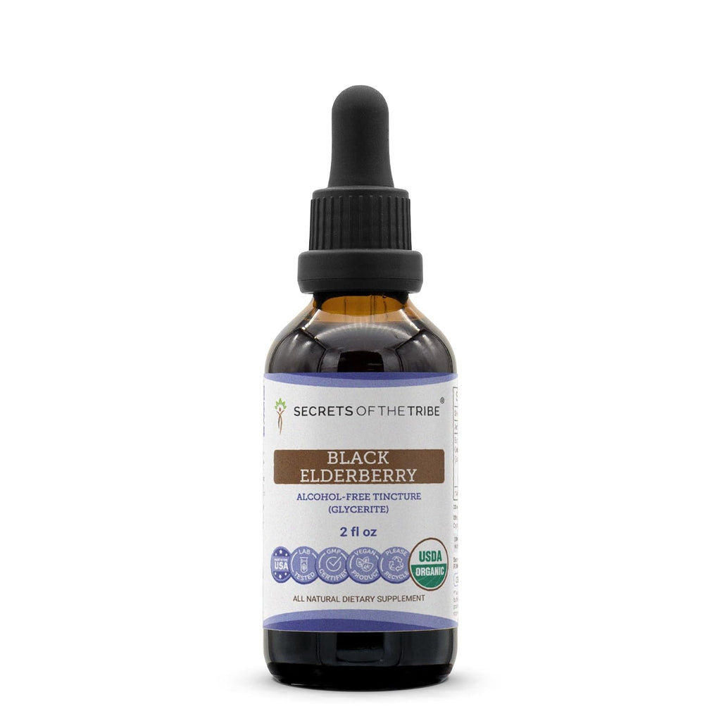 organic elderberry tincture for immunity