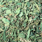 Organic epazote herbal infusion recipe