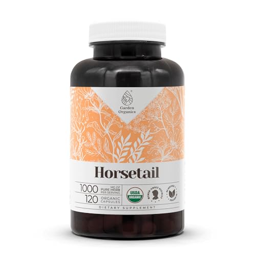 organic equisetum arvense capsules