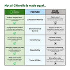organic fermented chlorella benefits