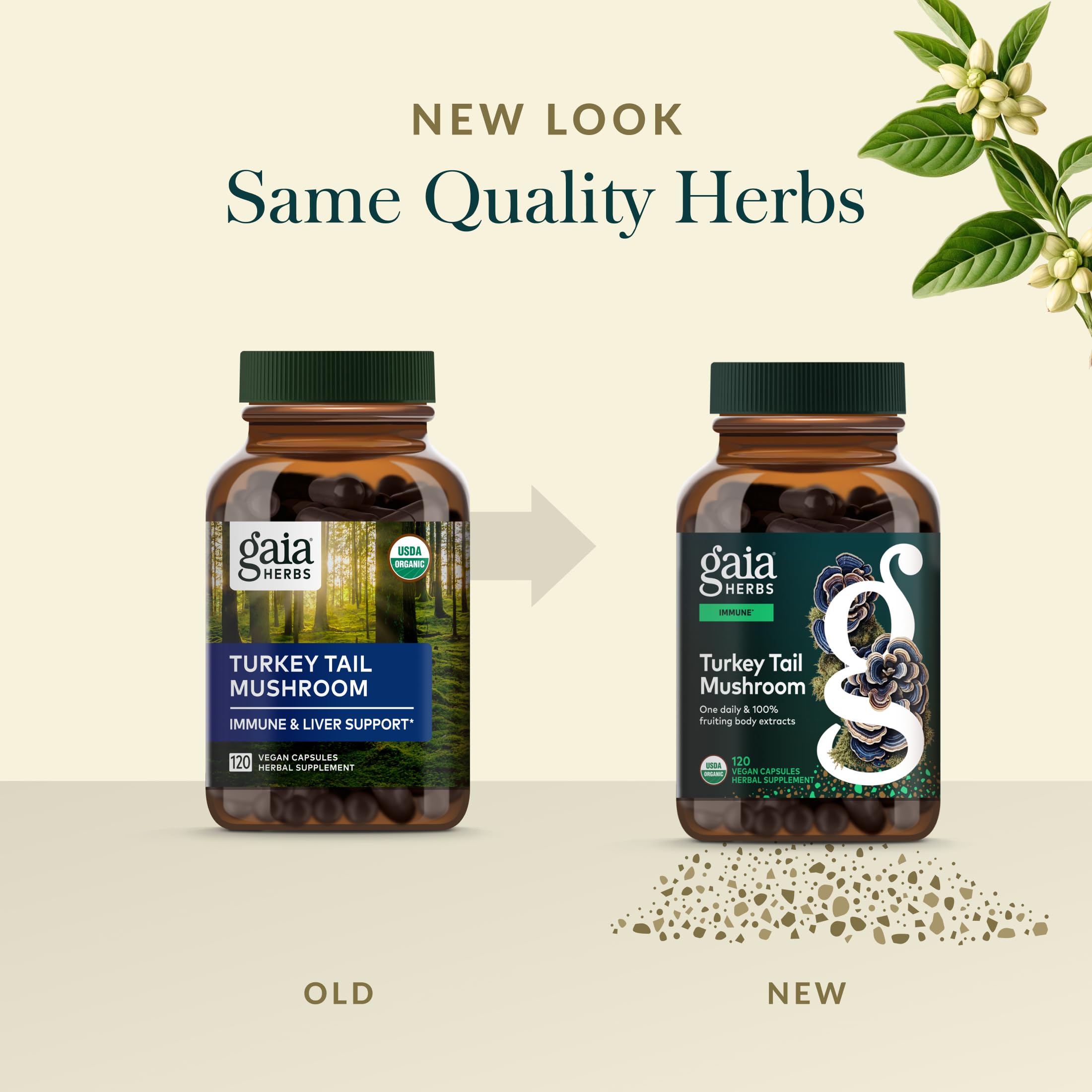 organic fruiting body extract
