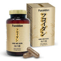 organic fucoidan mushroom capsules