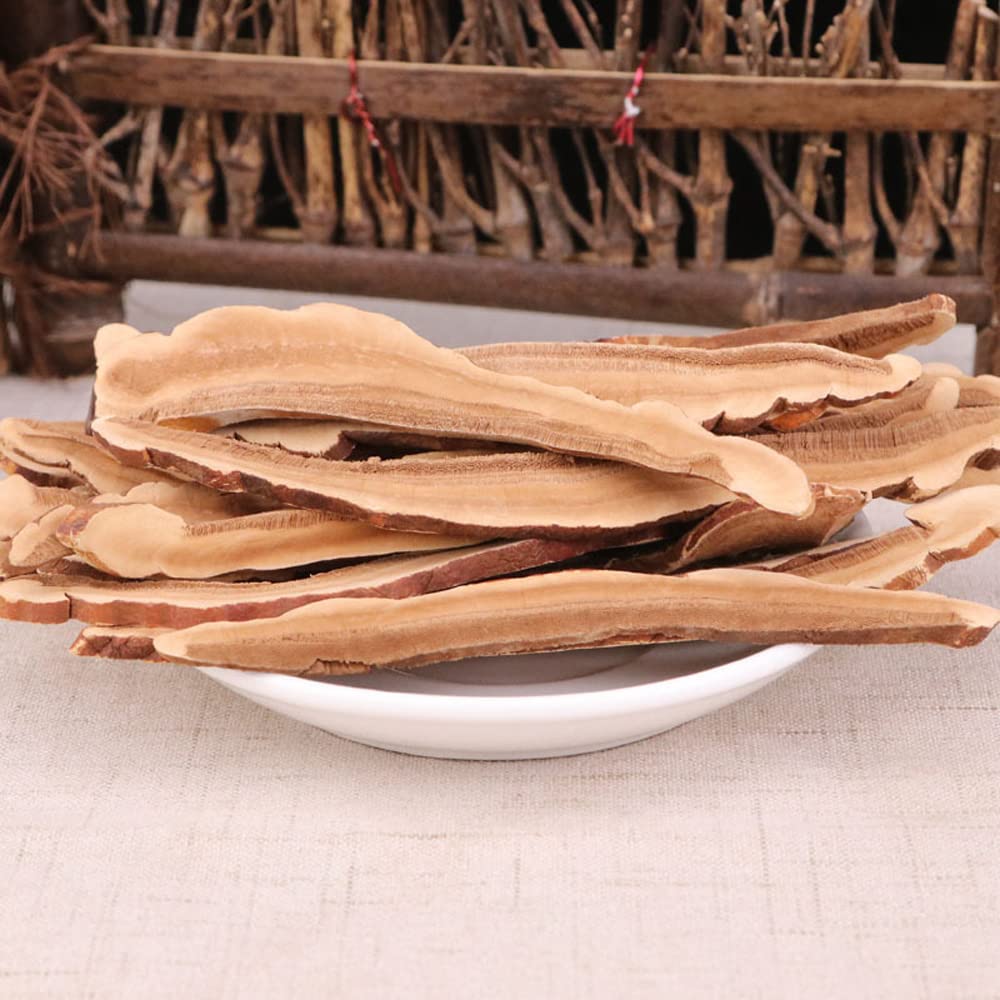 organic ganoderma lucidum health benefits
