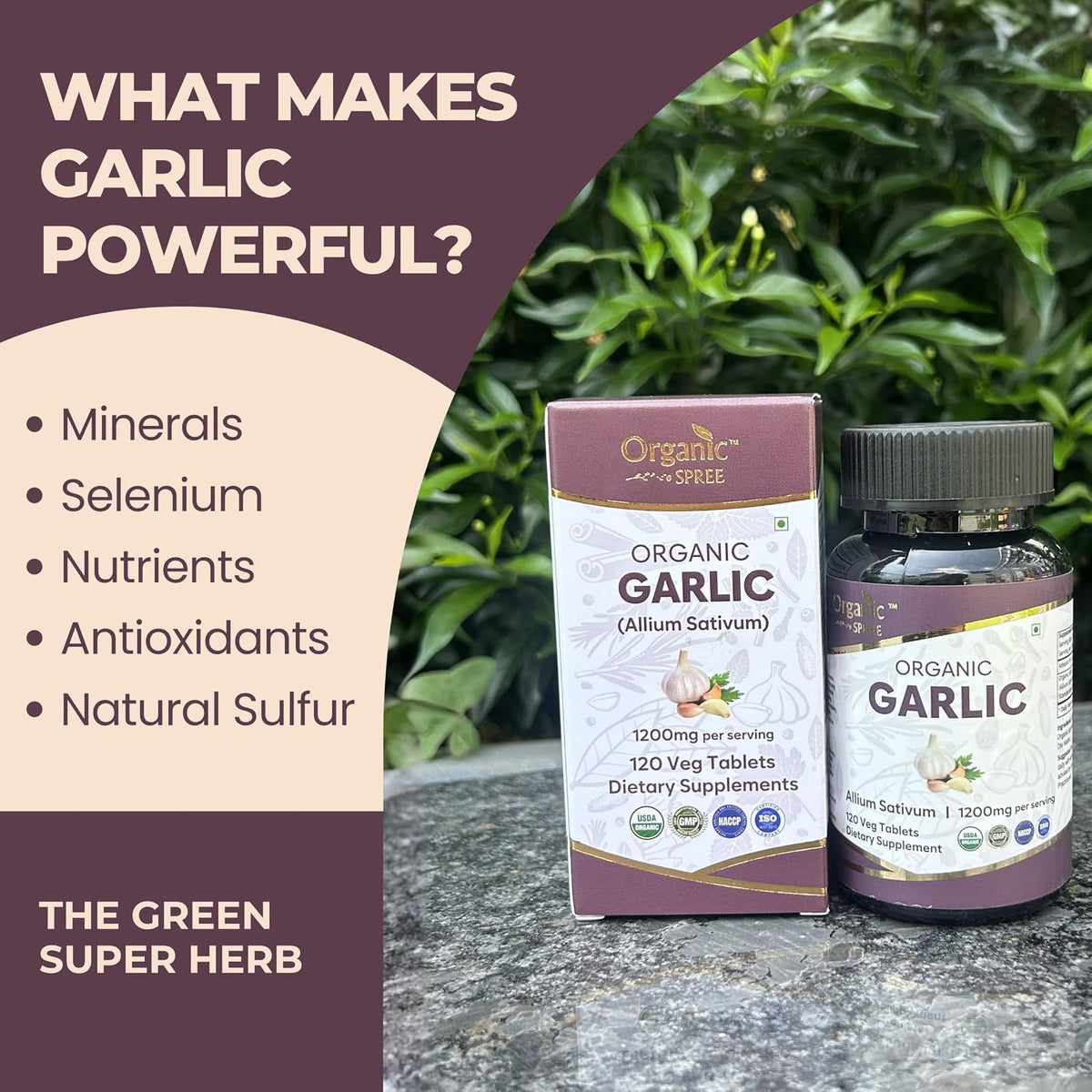 organic garlic for heart health
