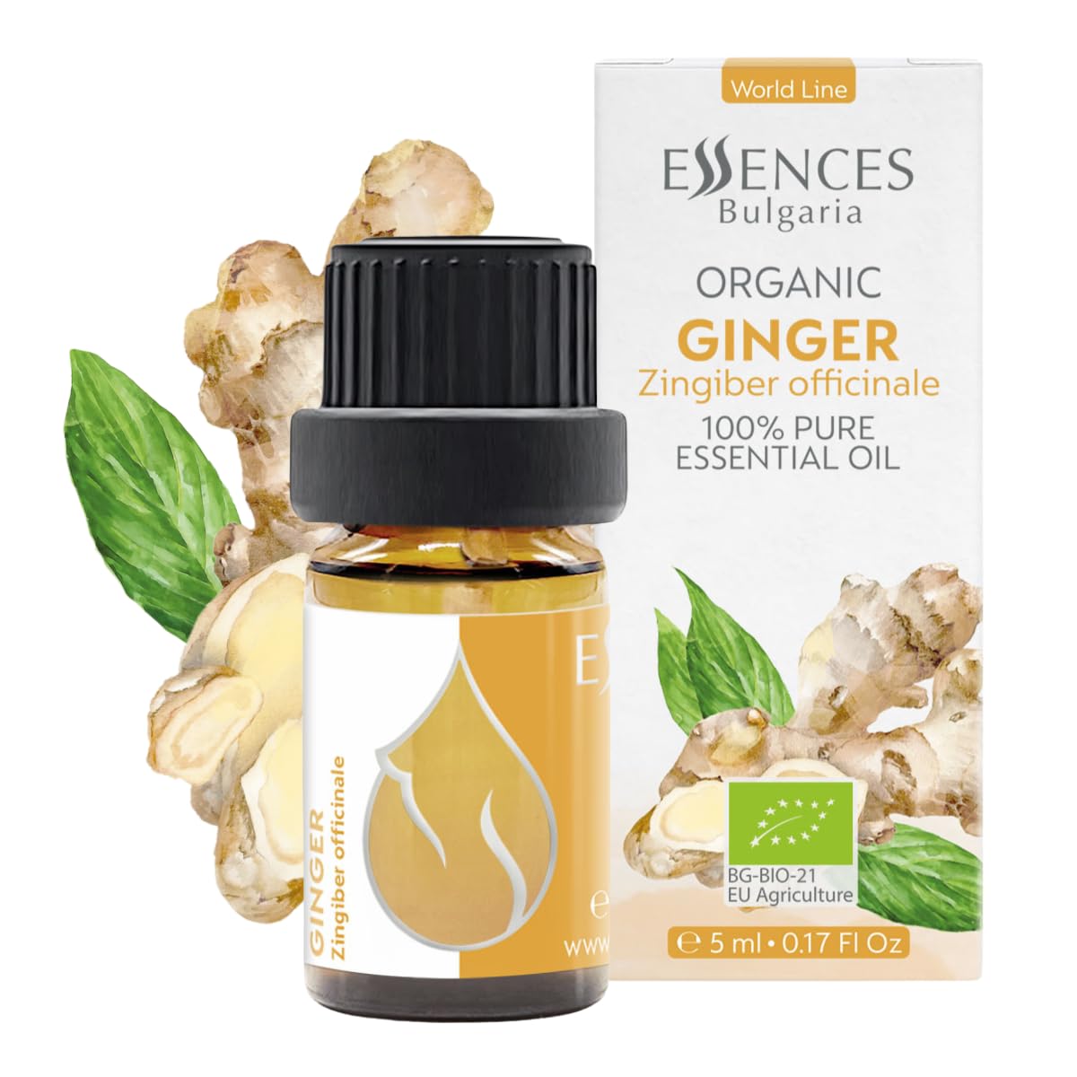 organic ginger essential oil benefits