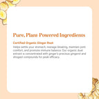 organic ginger extract for energy