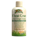 organic ginger liquid supplement