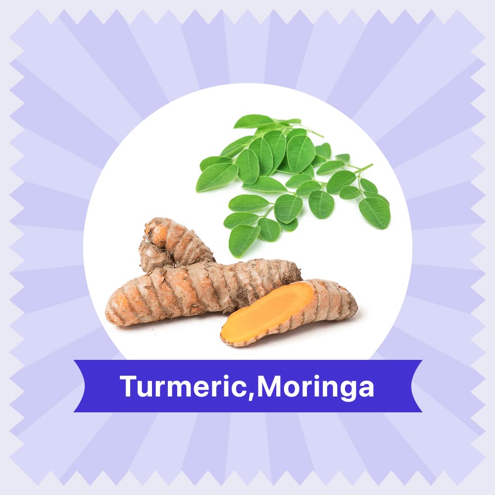 organic ginger moringa tea bags
