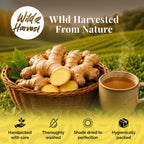 Organic ginger powder for herbal remedies