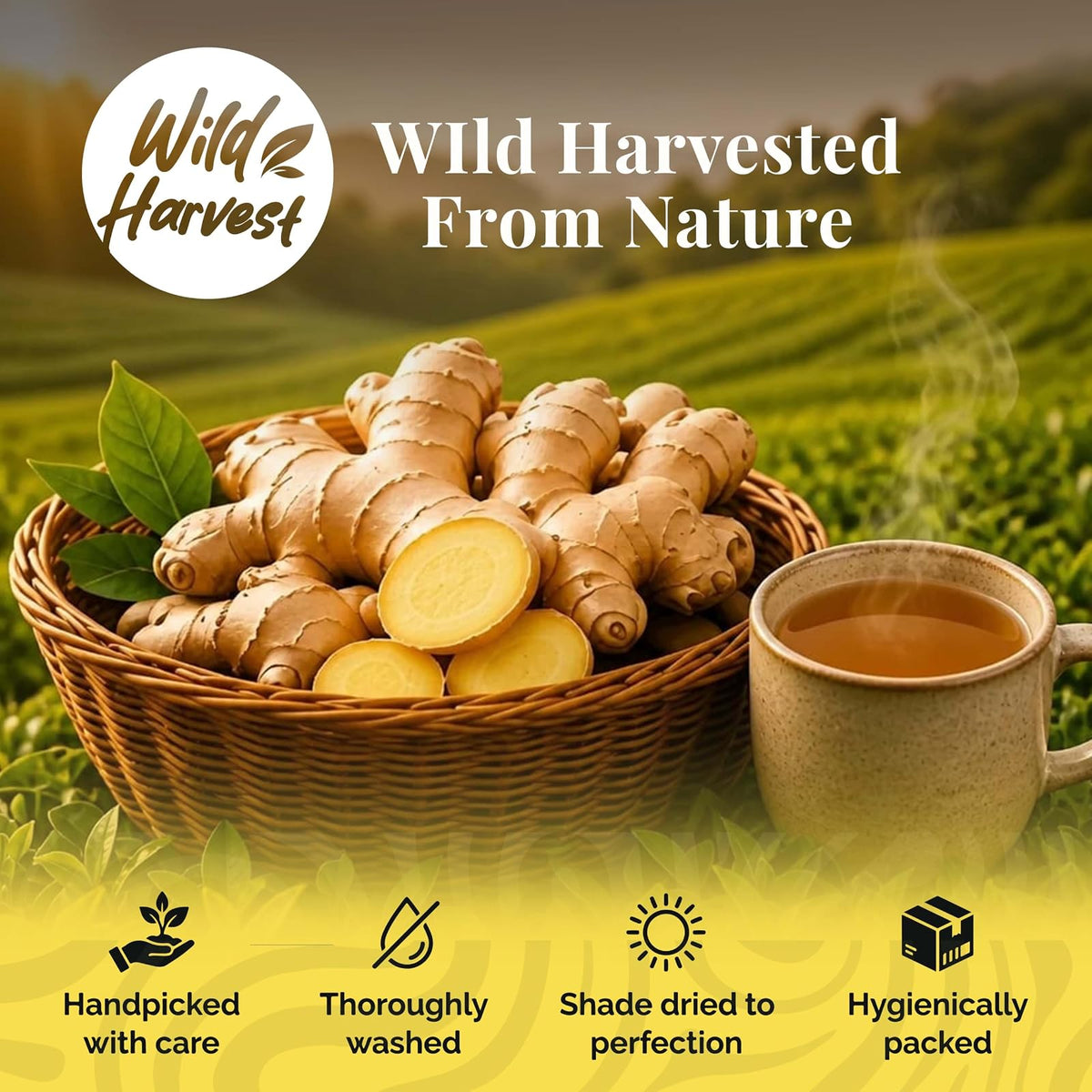 Organic ginger powder for herbal remedies