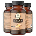 organic ginger root capsules