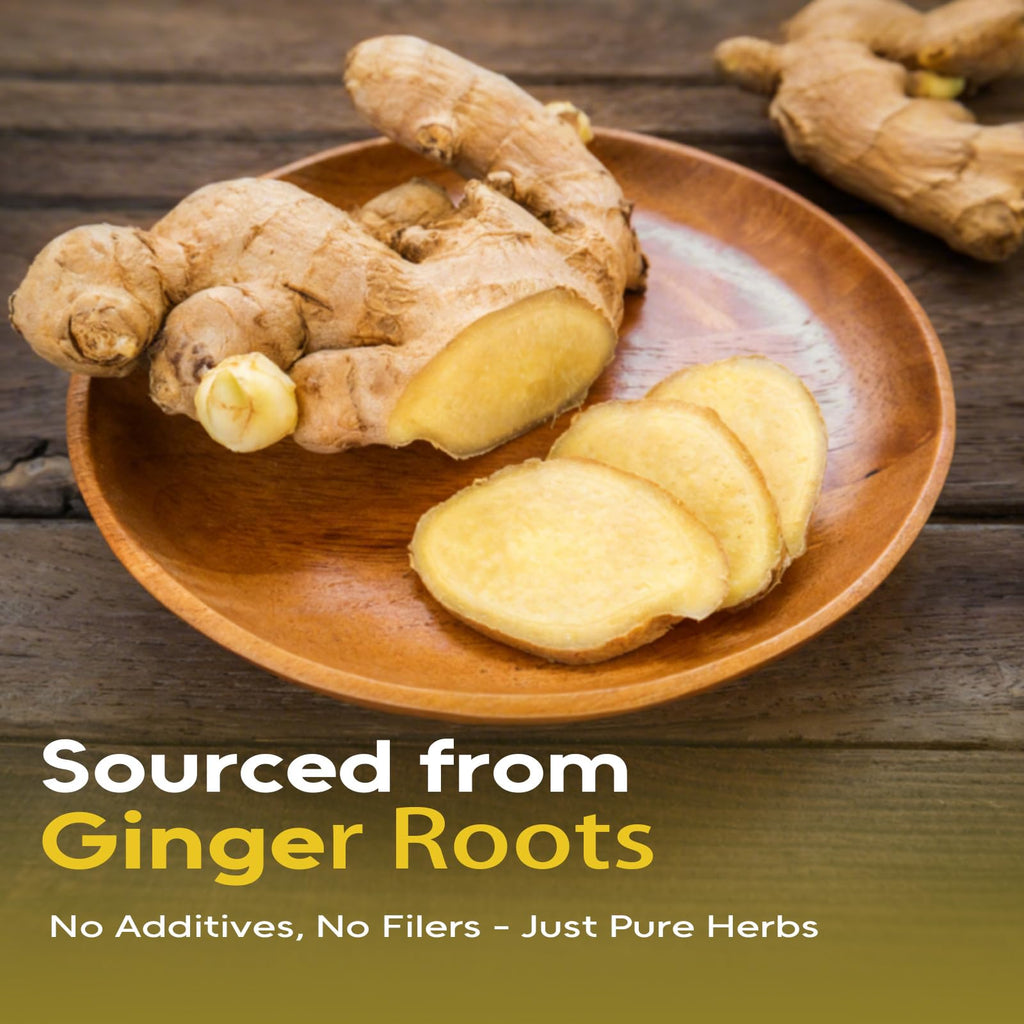 organic ginger tea bags 100 count