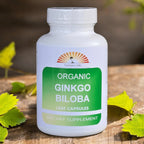 Organic Ginkgo Biloba capsules for memory