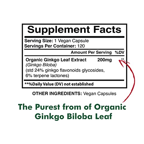 organic ginkgo biloba for cognitive function