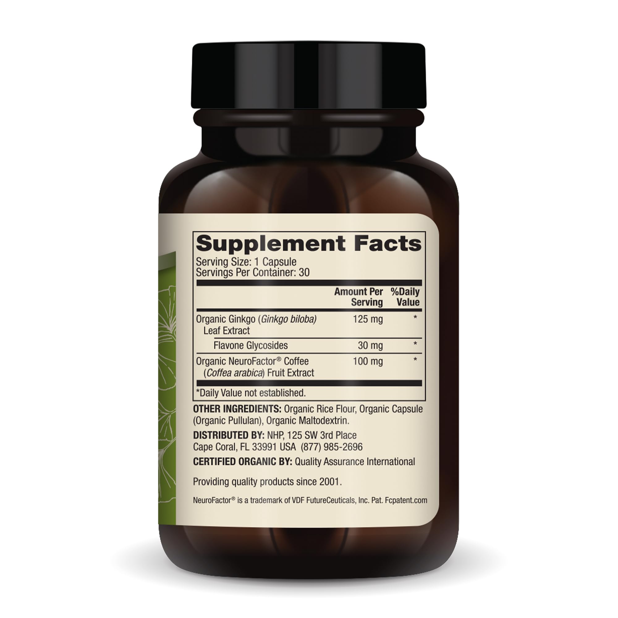 organic ginkgo biloba for cognitive support