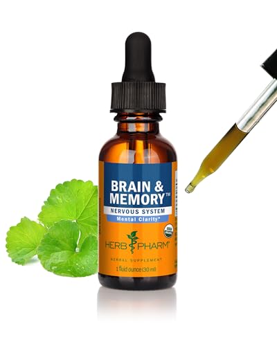 organic ginkgo biloba for focus