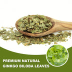 organic ginkgo biloba herbal tea