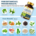 organic ginkgo biloba turmeric blend