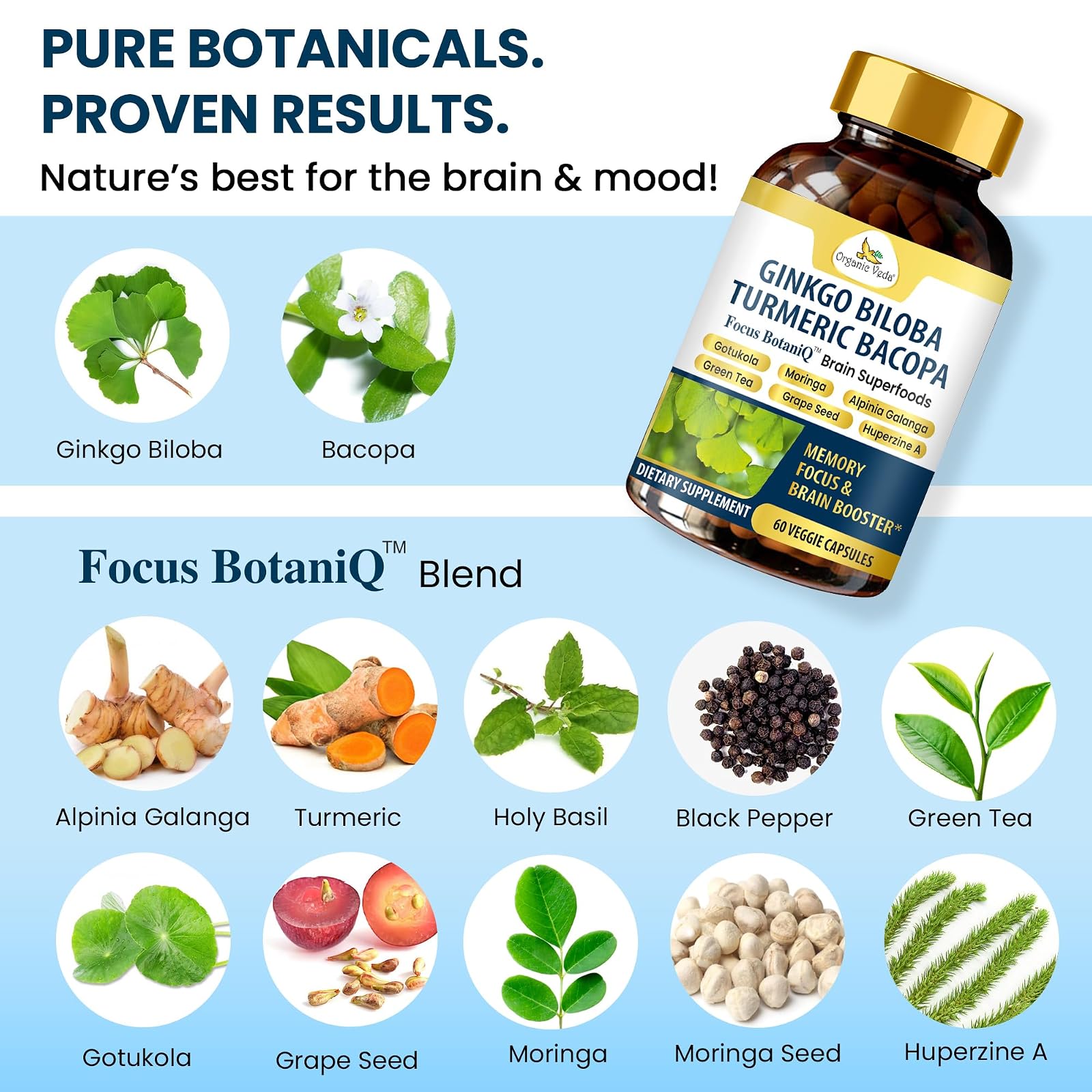 organic ginkgo biloba turmeric blend