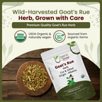 Organic goat's rue for herbal infusions