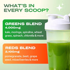 organic GOBIOTIX super greens supplement