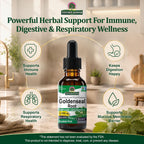 Organic Goldenseal for immune support