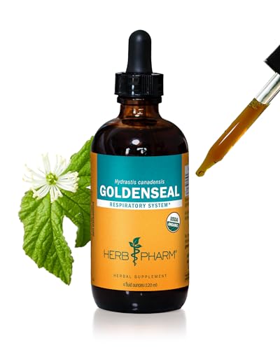 organic goldenseal for respiratory support