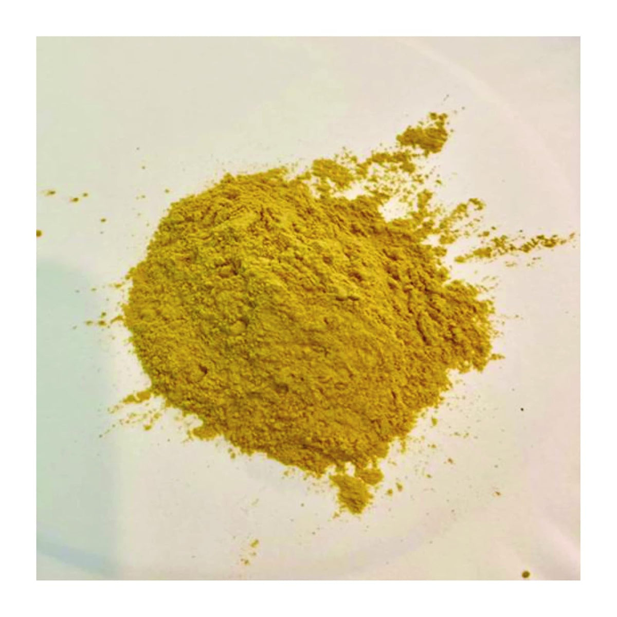 Organic Goldenseal root powder supplement