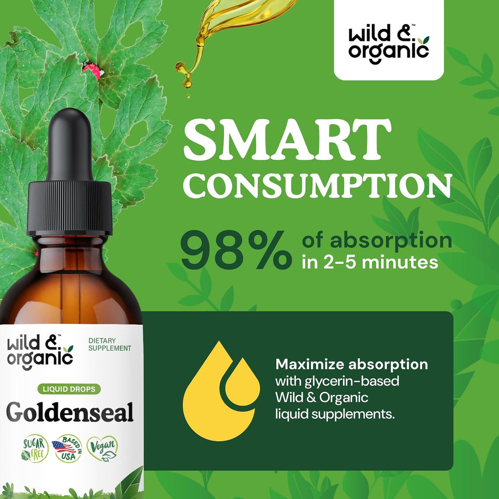 Organic Goldenseal tincture for digestive health