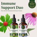 Organic Goldenseal tincture for holistic healing