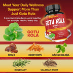 Organic Gotu Kola for stress relief