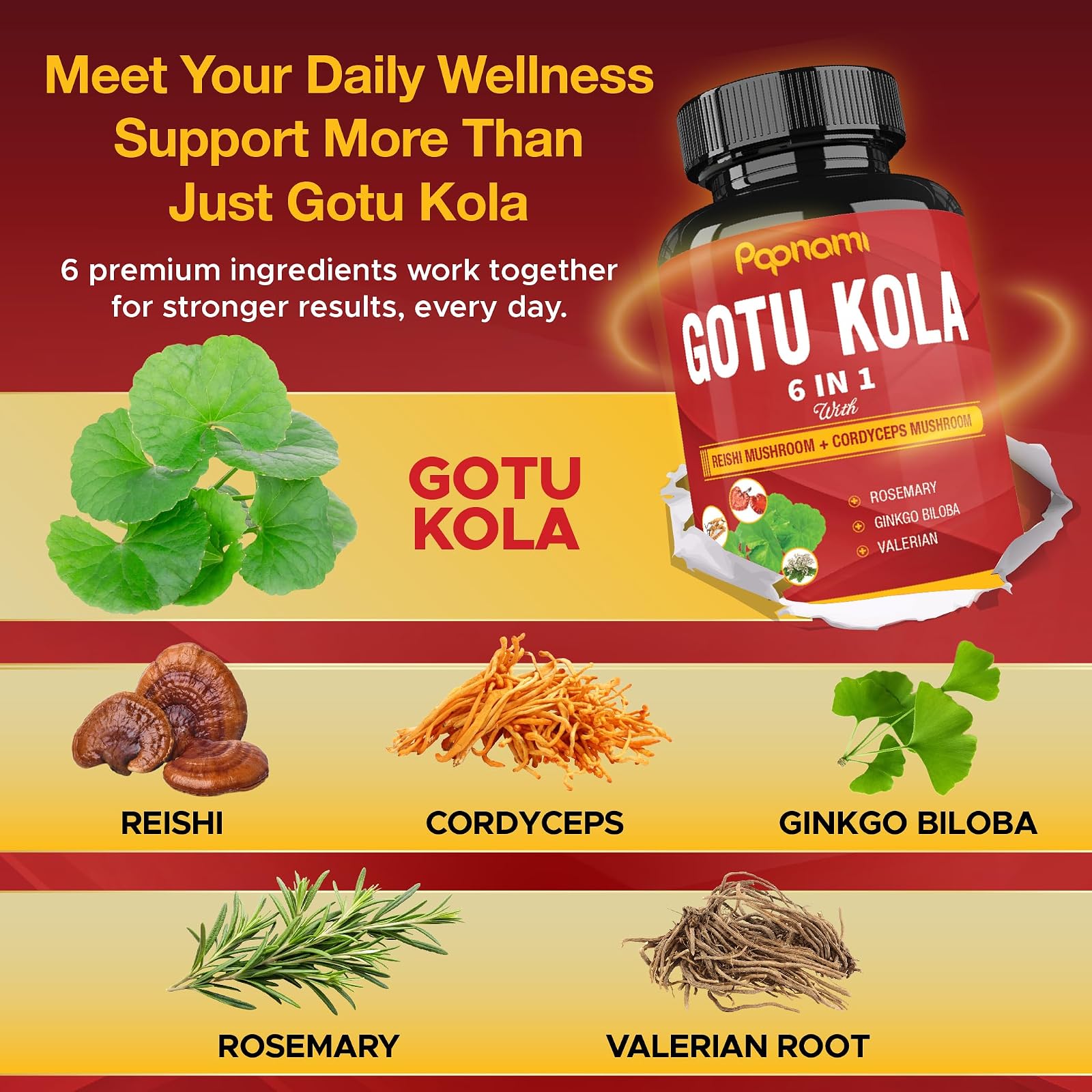 Organic Gotu Kola for stress relief