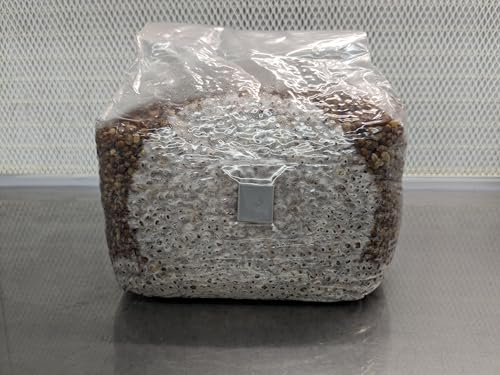 organic grain for mushroom farming