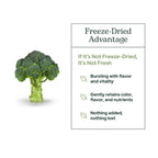 Organic Green Guard Powder for detox