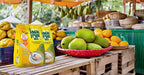 organic green jackfruit flour for health