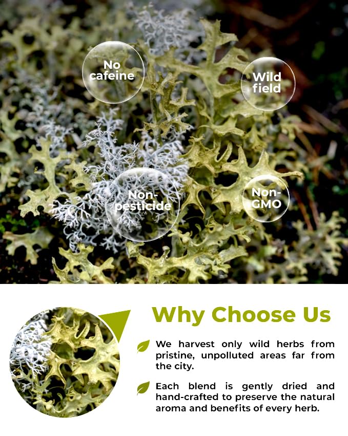 organic green tea extract option