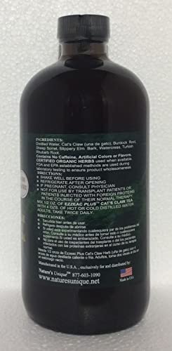 organic green tea for wellness