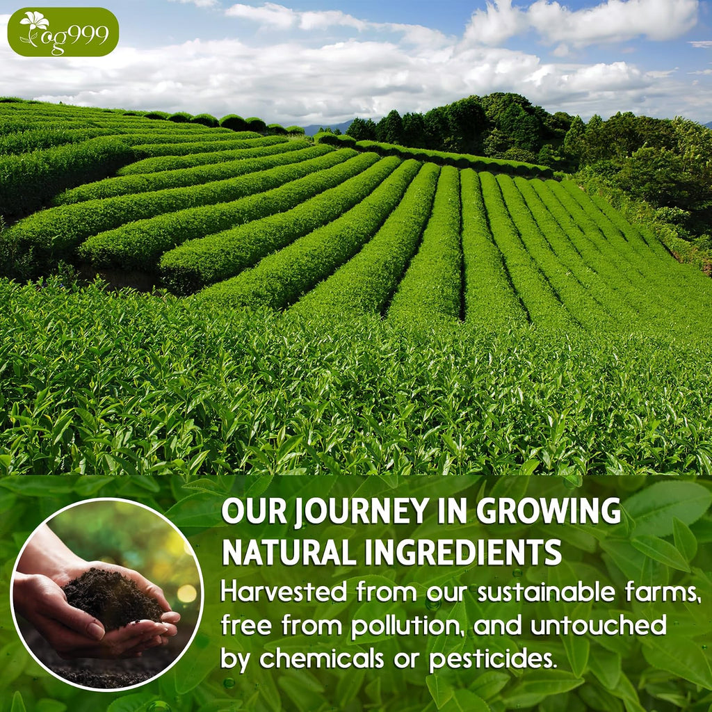 organic green tea for wellness