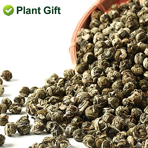 organic green tea for wellness