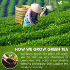 organic green tea matcha powder