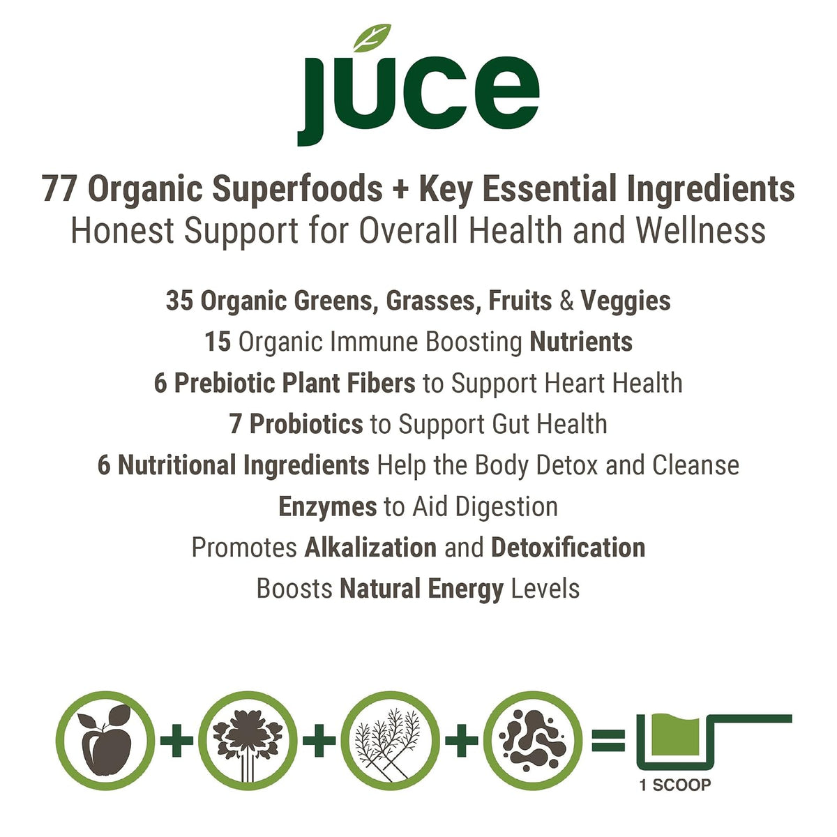 organic greens powder for kids nutrition